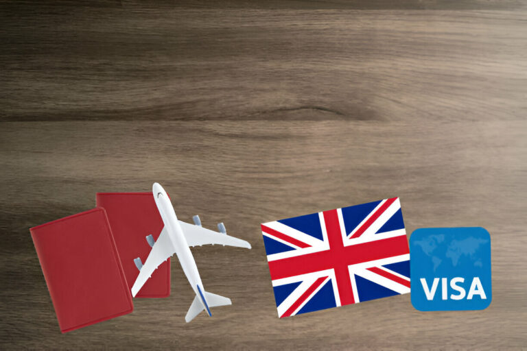 How to Check UK Visa Application Status on VFS?